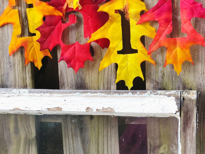 Fall Leaves Banner