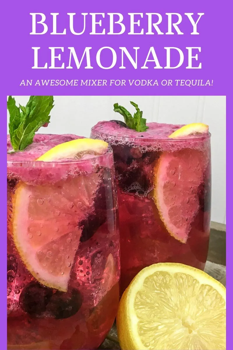 Fresh Sparkling Blueberry Lemonade - Summer Mocktail or Cocktail Mixer!