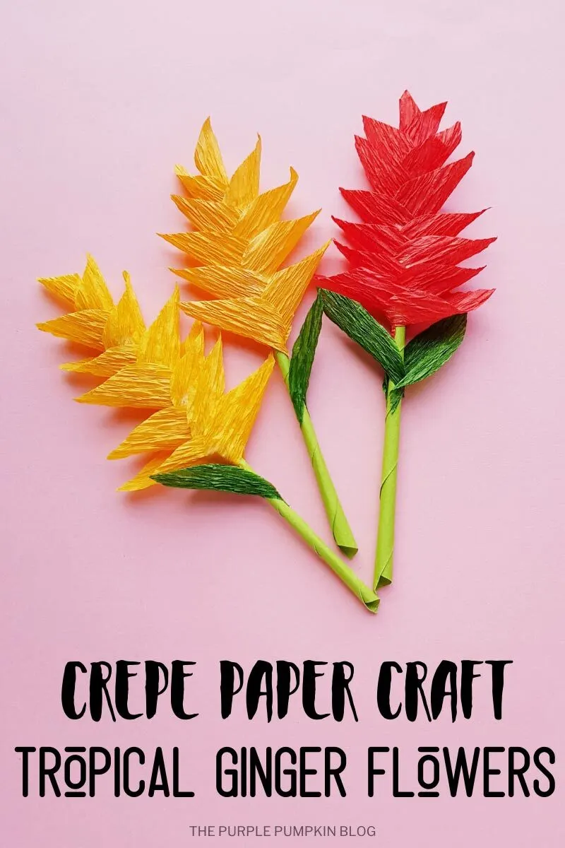 Crepe Paper Ginger Flowers Craft