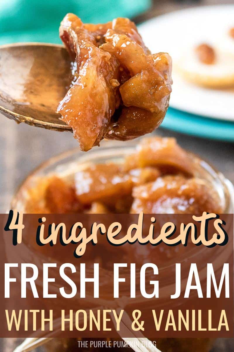 Easy Homemade Vanilla Fig Jam Recipe Using Fresh Figs