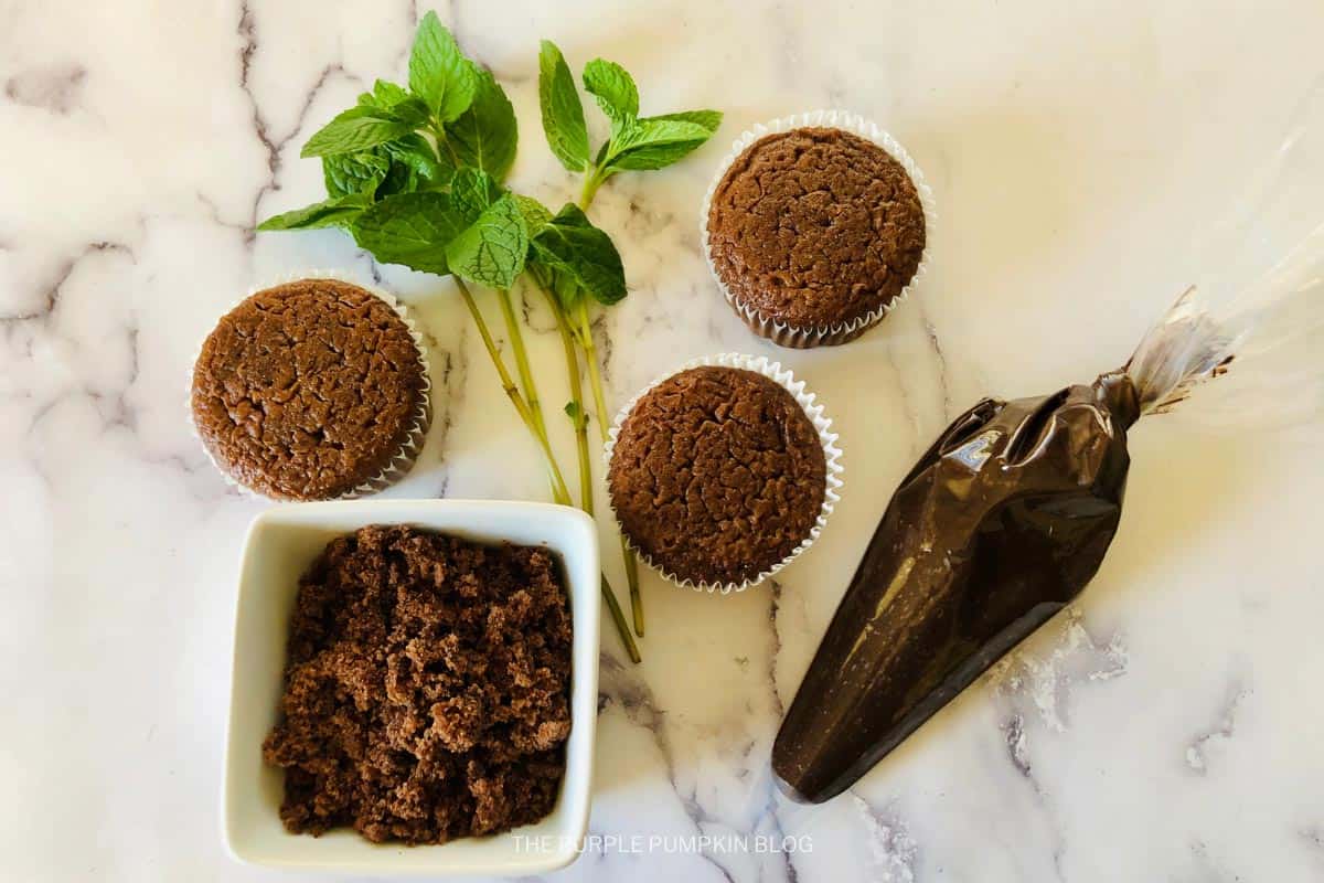 Plant Cupcakes for Earth Day with Crumbled Chocolate Cake “Soil”!
