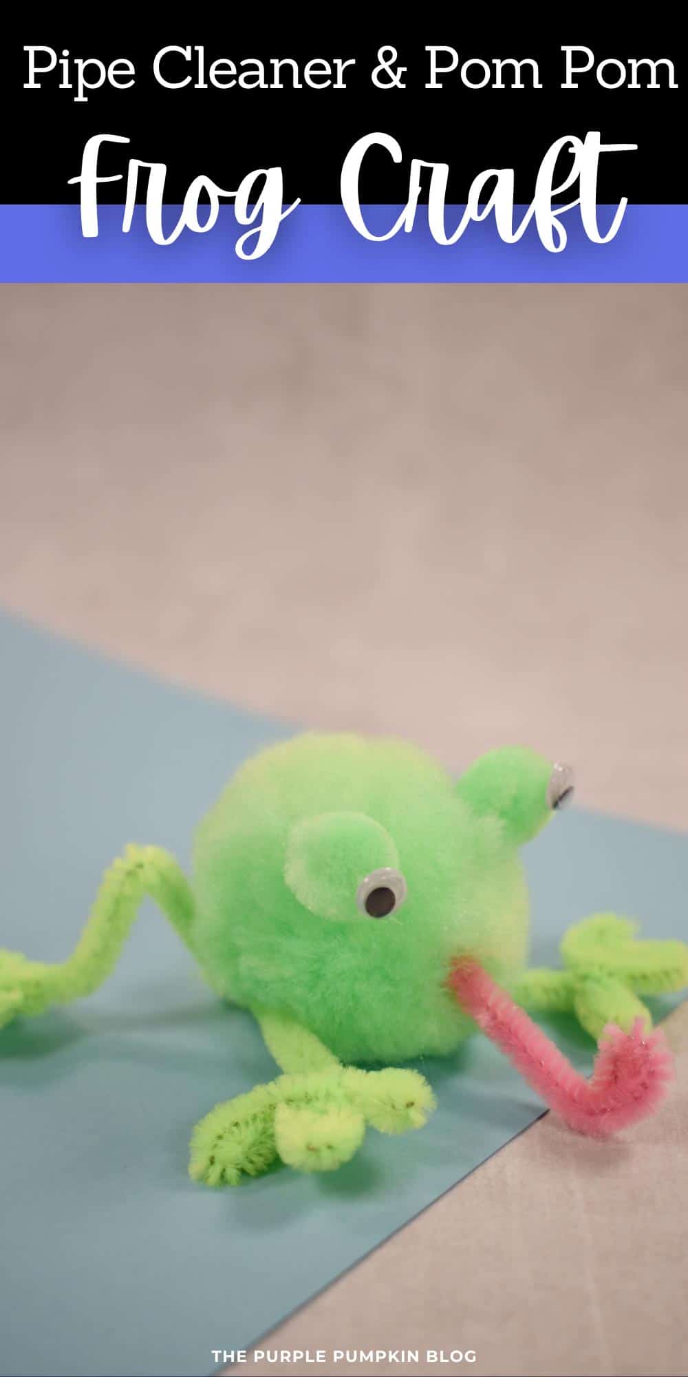 Cute Pom Pom & Pipe Cleaner Frog Craft!