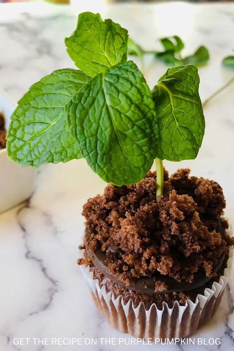 Plant Cupcakes for Earth Day with Crumbled Chocolate Cake “Soil”!