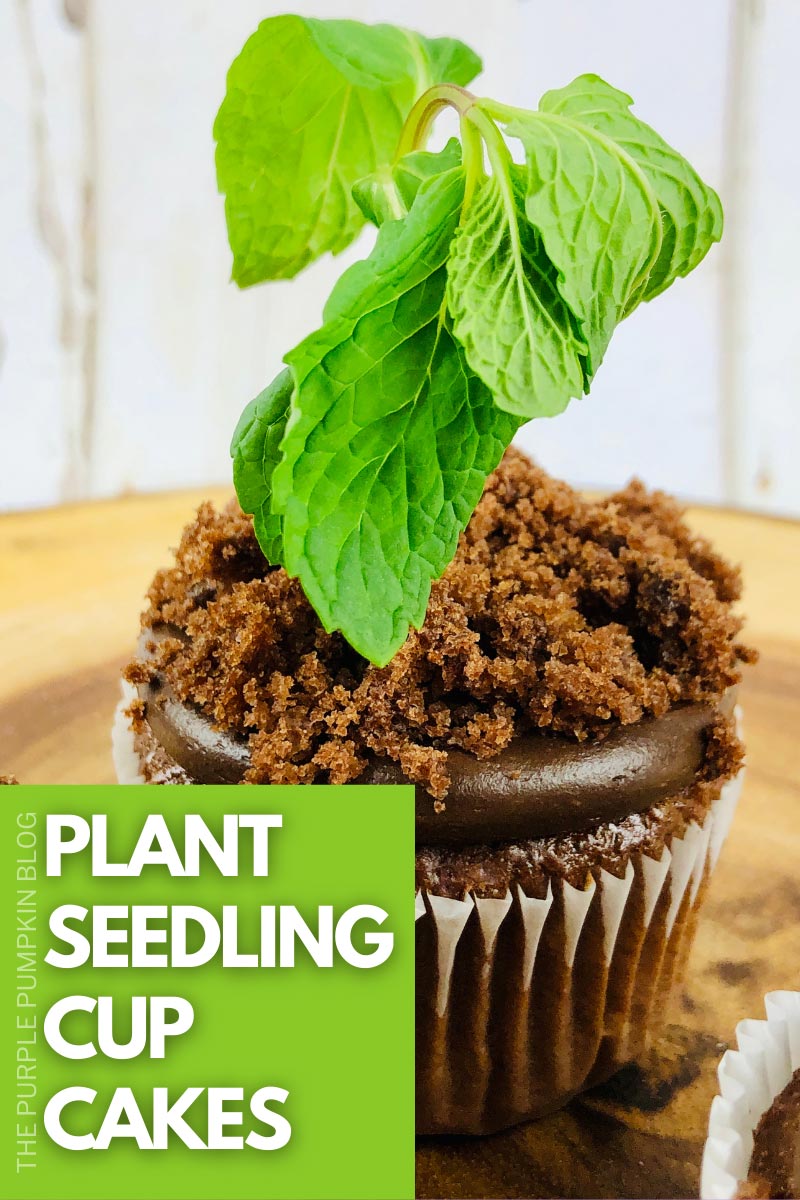 Plant Cupcakes for Earth Day with Crumbled Chocolate Cake “Soil”!