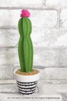 Cute Upcycled Cardboard Cactus Craft + Free Printable Template!