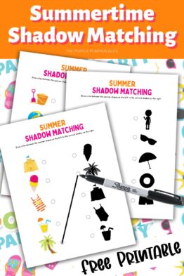 Free Printable Summer Shadow Matching Activity For Kids