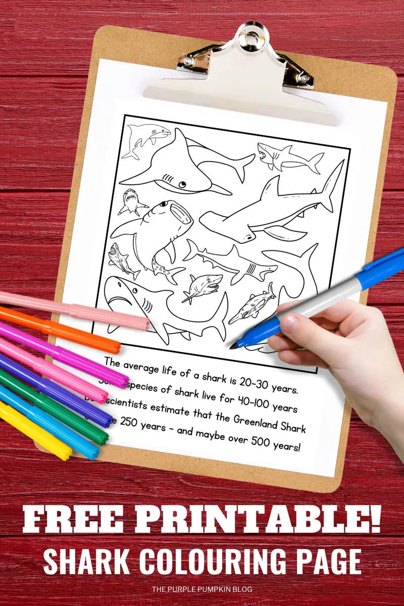 Free Printable Shark Coloring Pages (Shark Colouring Pages)