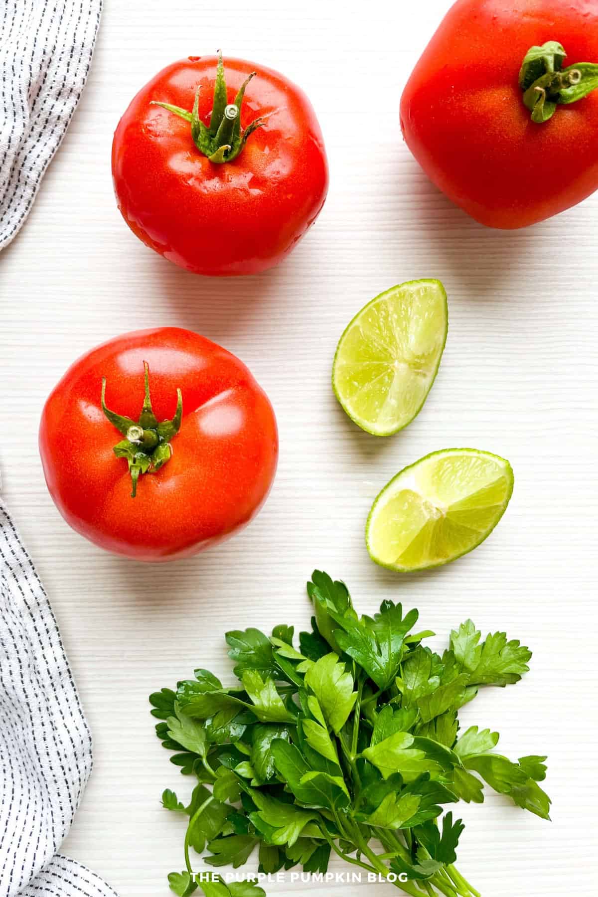 Quick & Easy Fresh Homemade Tomato Salsa Recipe