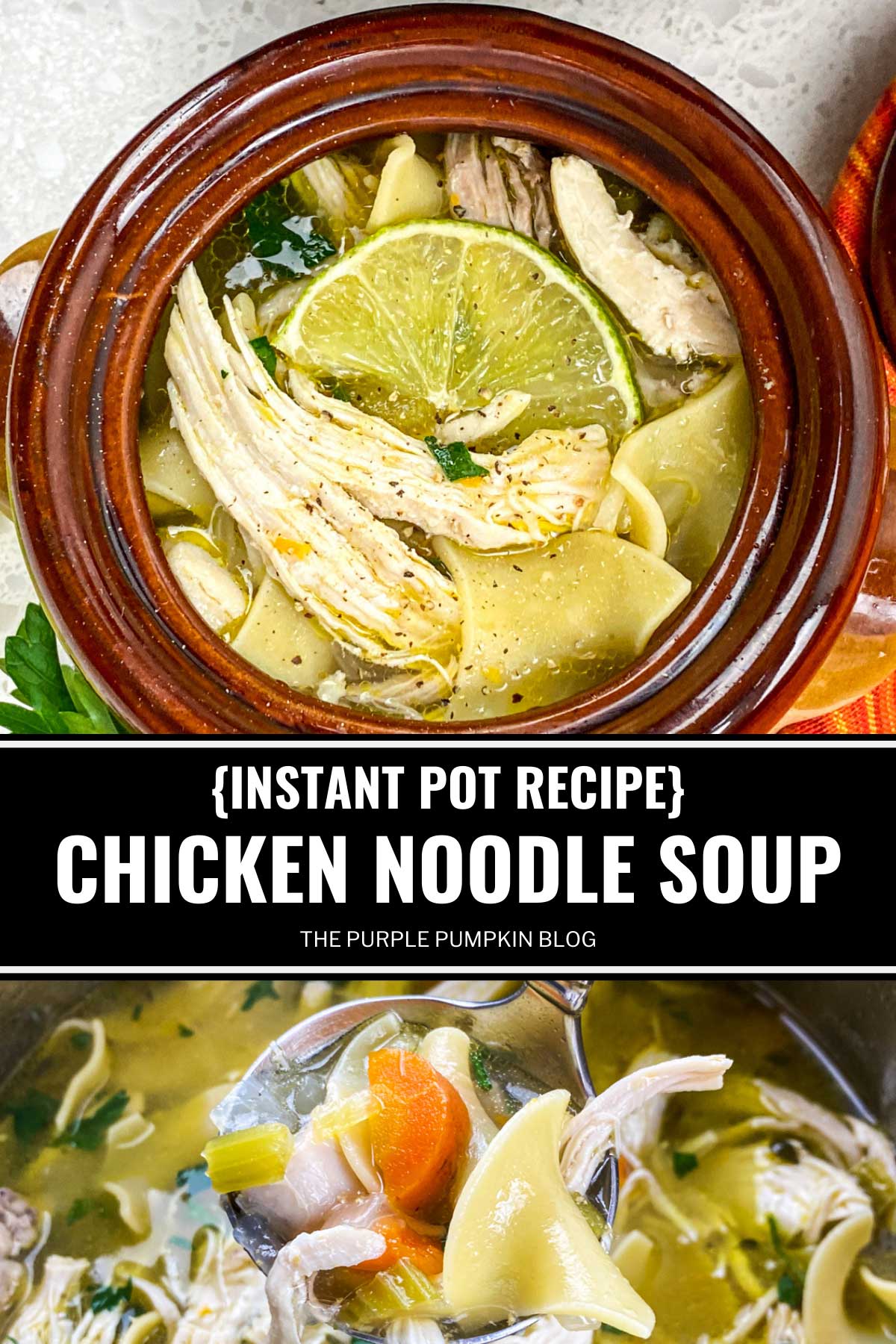 Instant Pot Pressure Cooker Chicken Noodle Soup Recipe