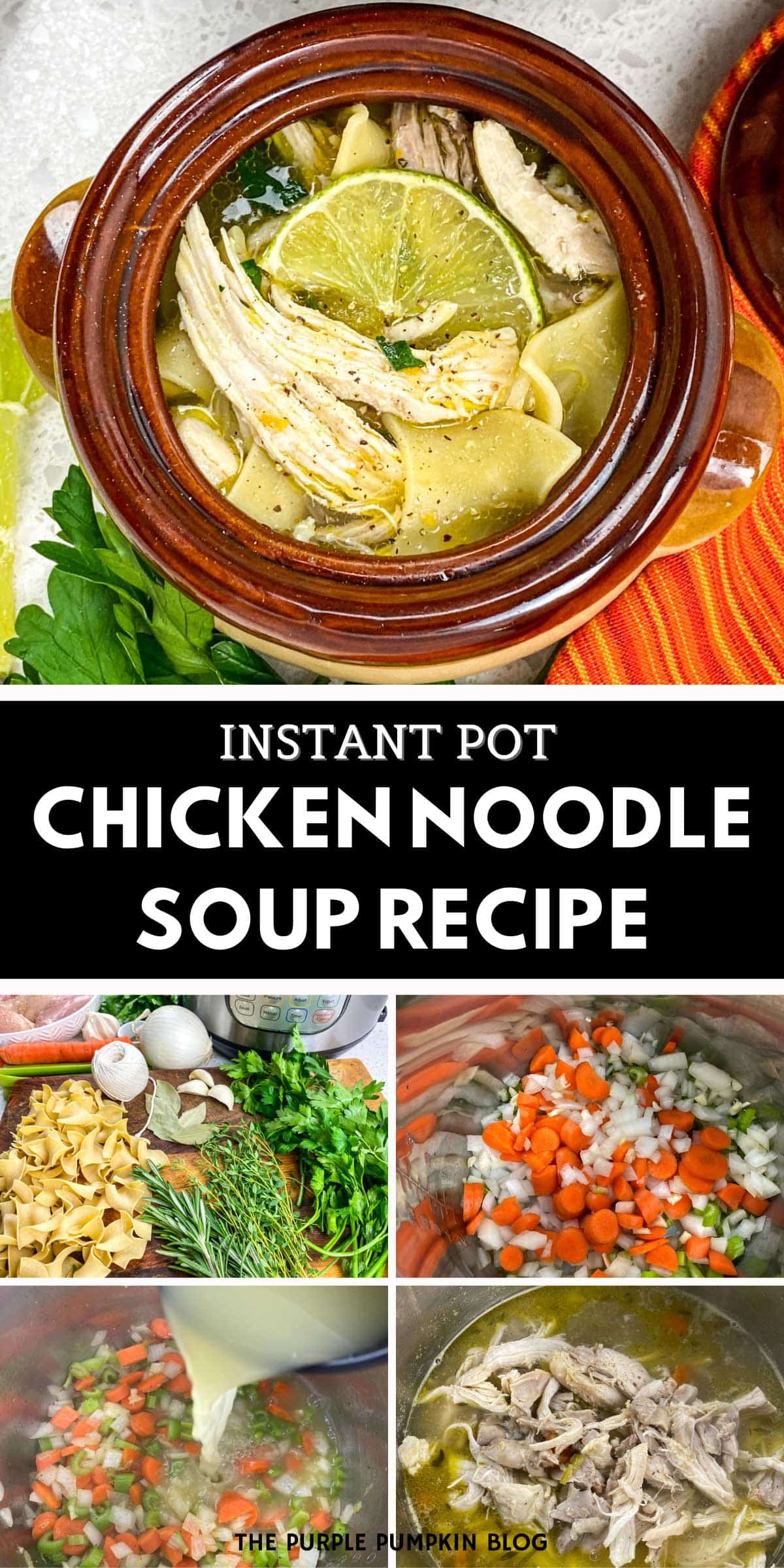Instant Pot Pressure Cooker Chicken Noodle Soup Recipe