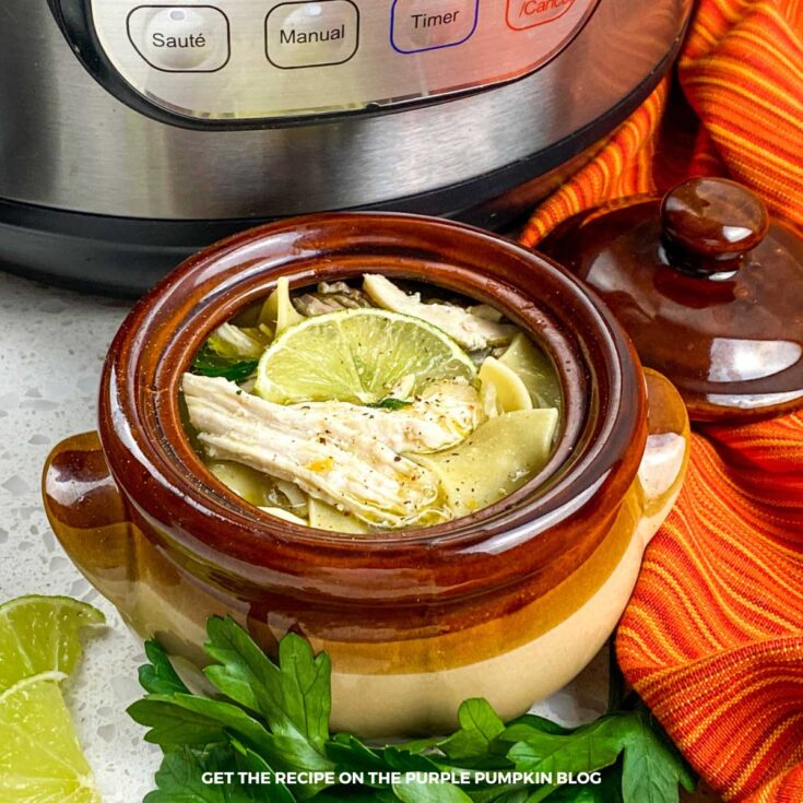 Instant Pot Pressure Cooker Chicken Noodle Soup Recipe