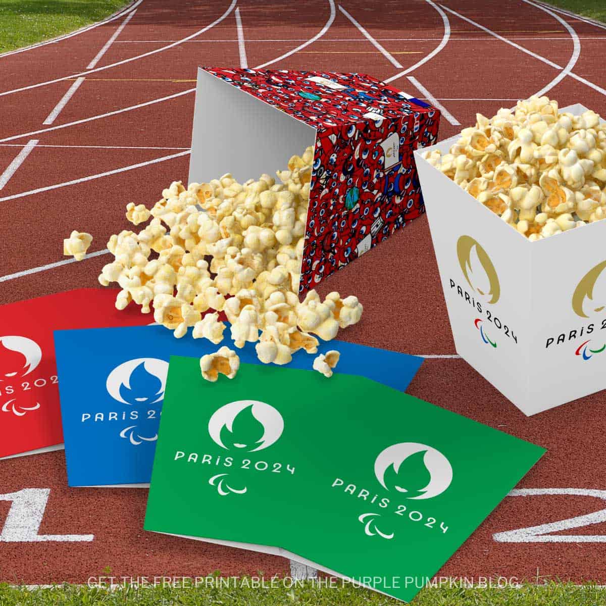 Free Paralympics Printables! (Summer Paralympic Games)