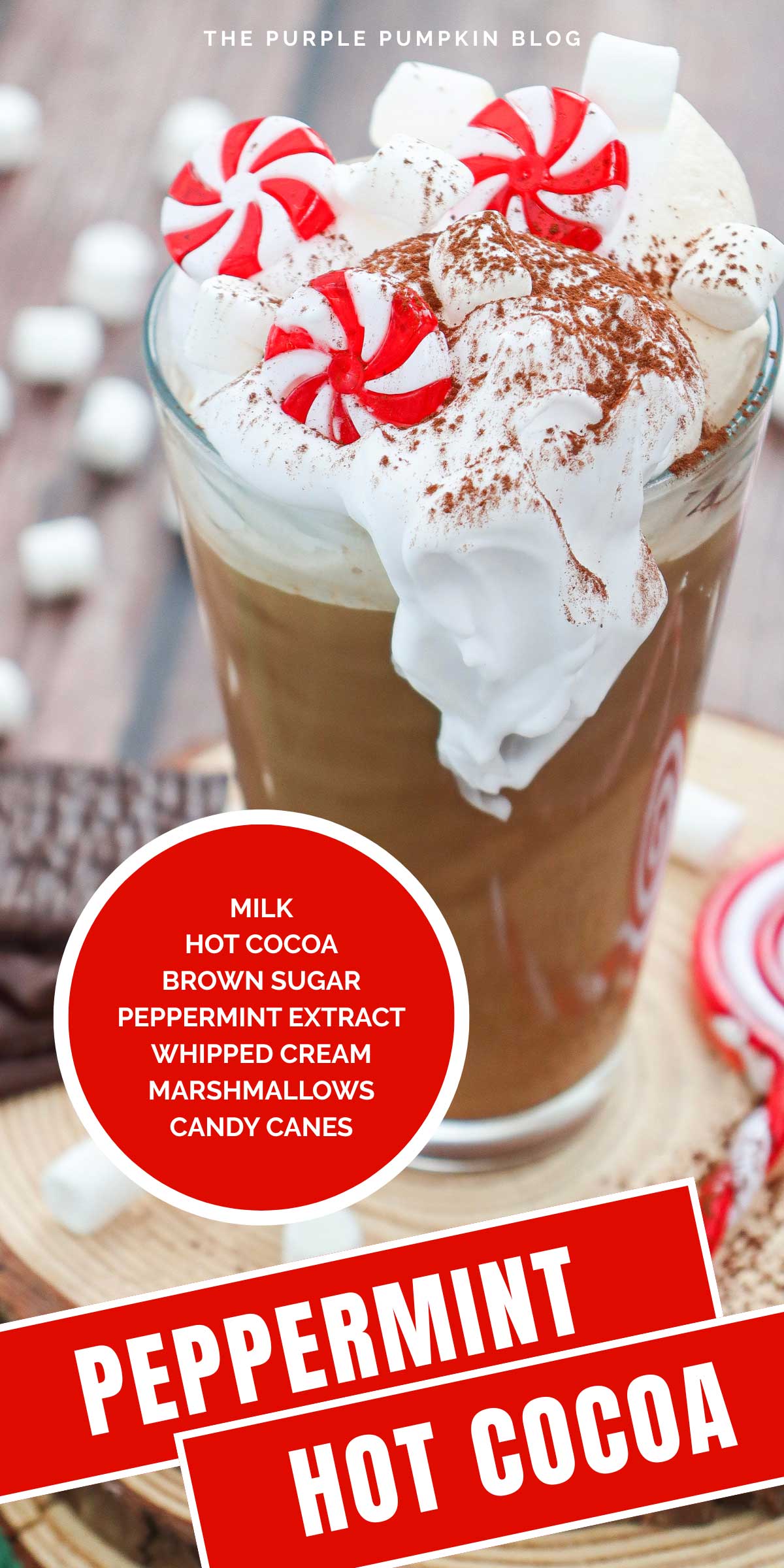 Cozy Peppermint Hot Chocolate Drink for Winter